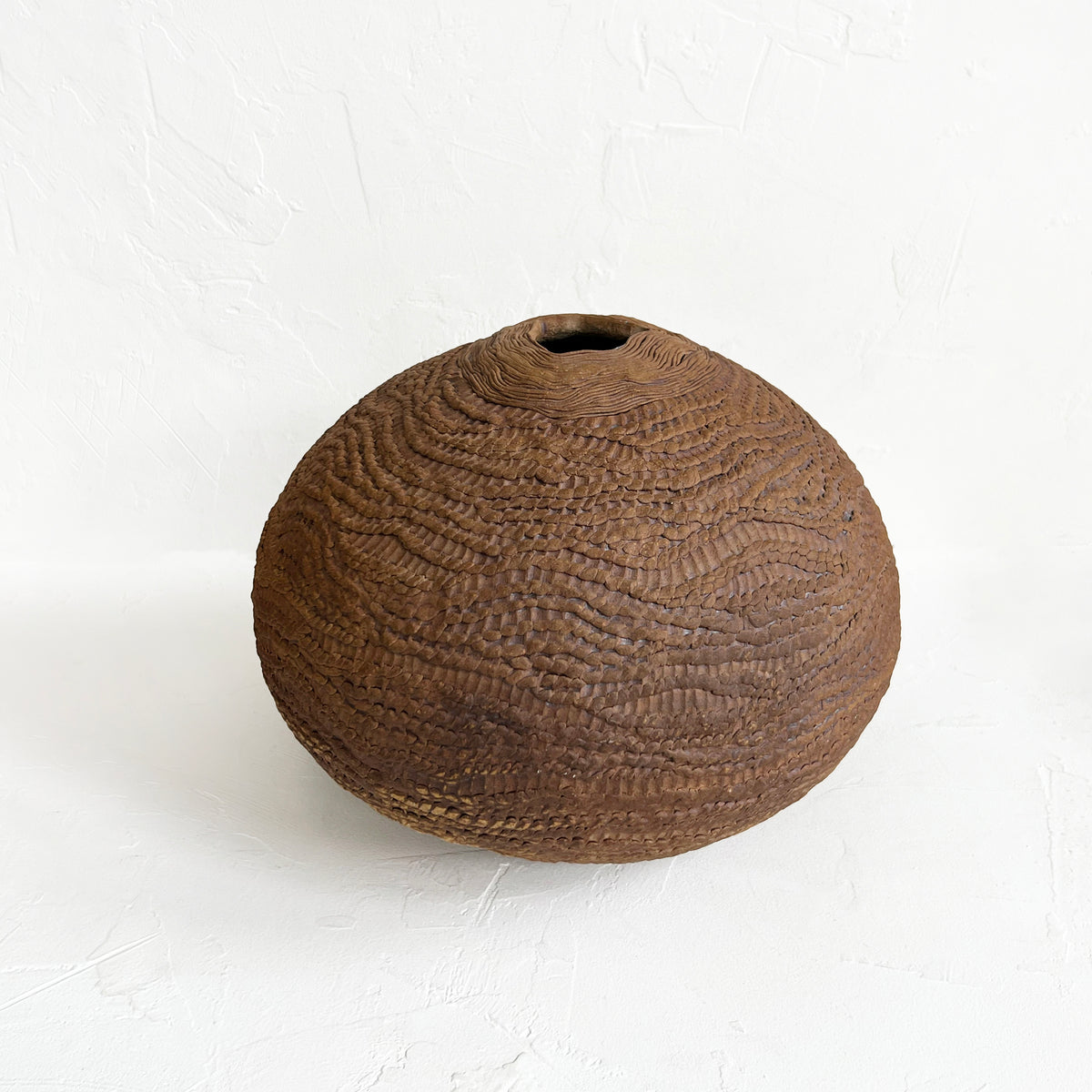 Coiled Vase – Wilderhouse